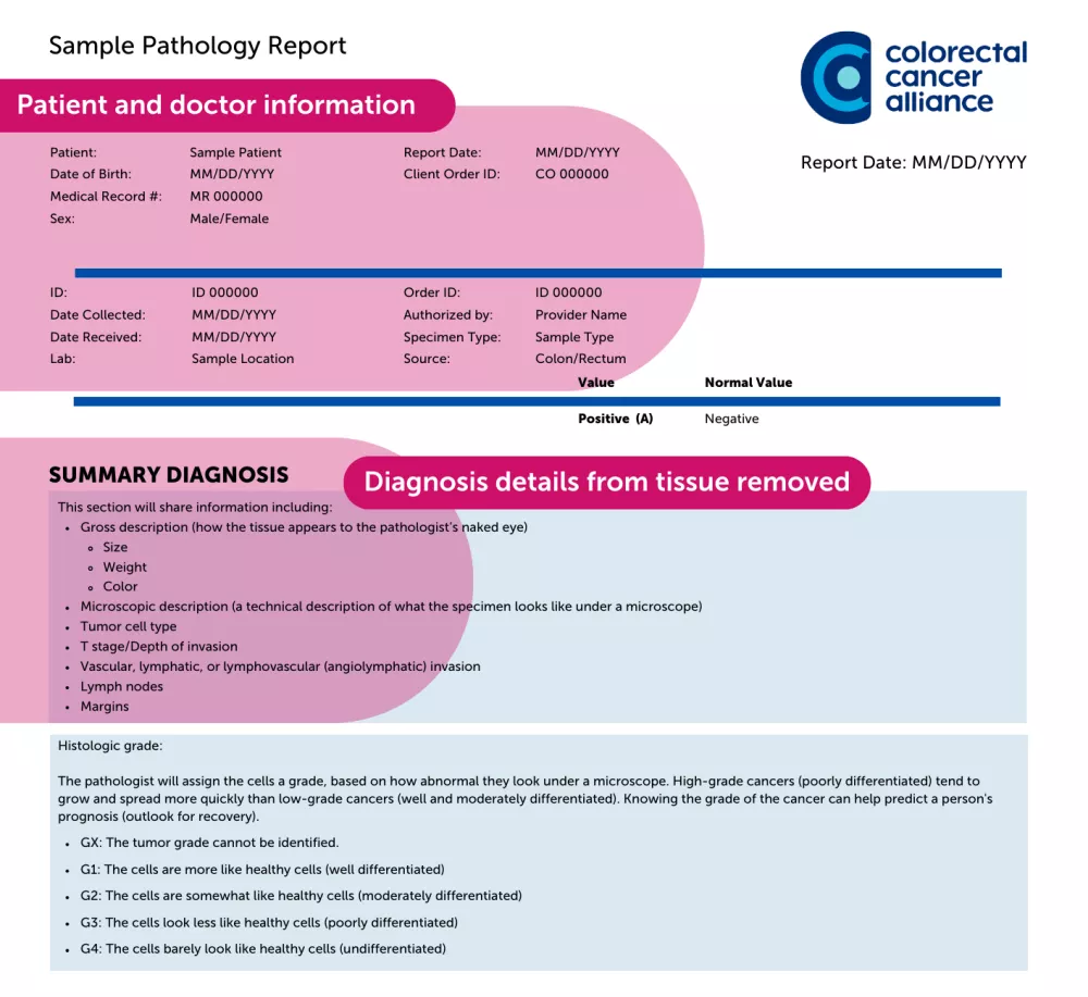 Understanding Your Pathology Report | Colorectal Cancer Alliance Understanding Your Pathology Report | Colorectal Cancer Alliance
